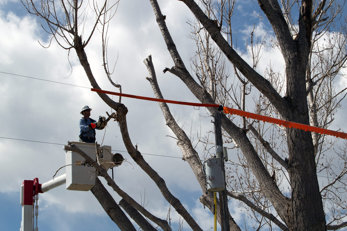 Wildfire Mitigation – A statewide viewpoint - Colorado Rural Electric ...